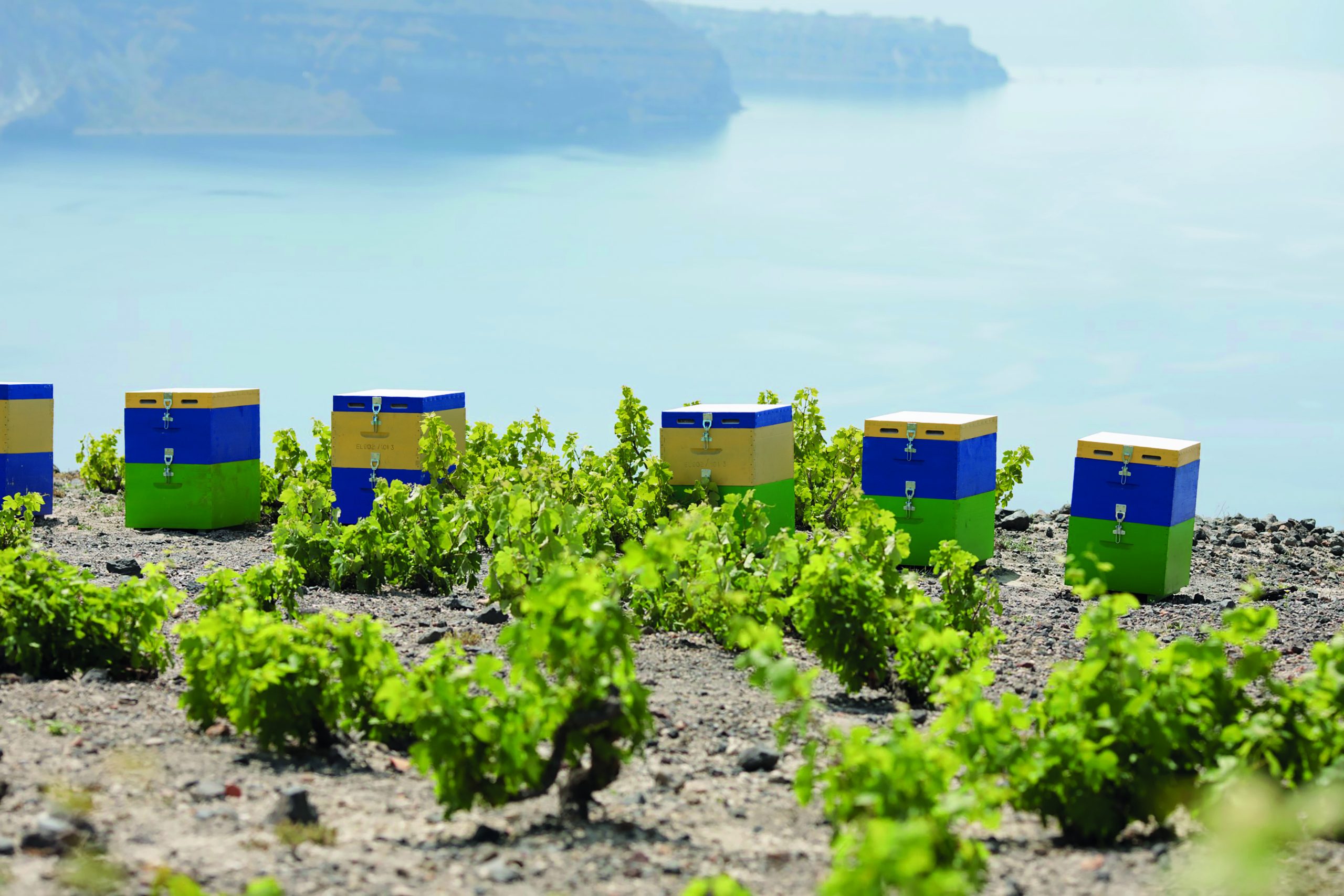 APIVITA : Les nouveautés de cette rentrée pour toute la famille ! • Conso-Mag