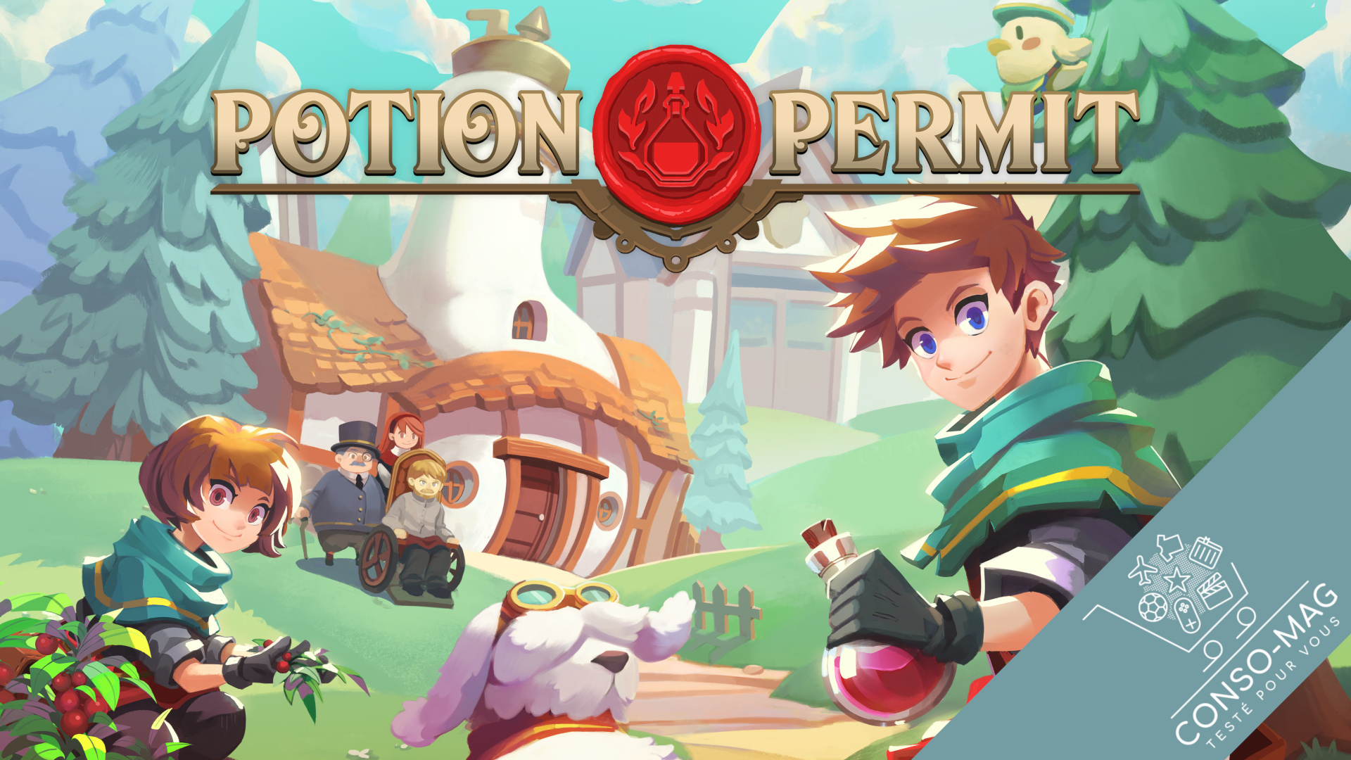 Test Potion Permit sur PC : Higitus Figitus Et Potionus Maximus • Conso-Mag