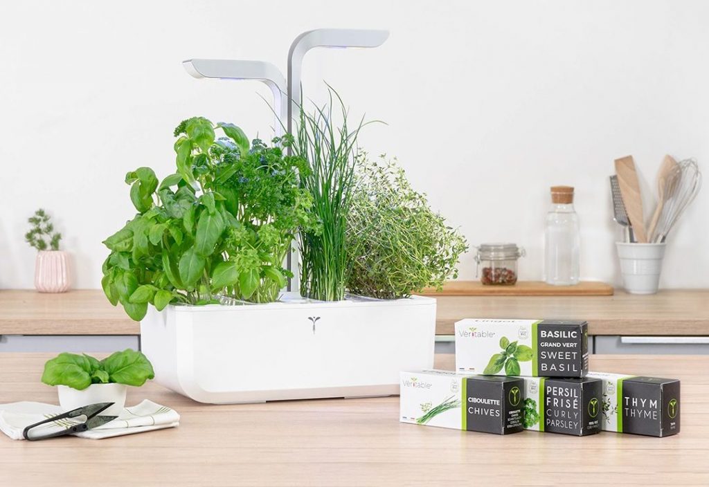 Véritable®, le potager d’intérieur made in France ! – Conso-Mag