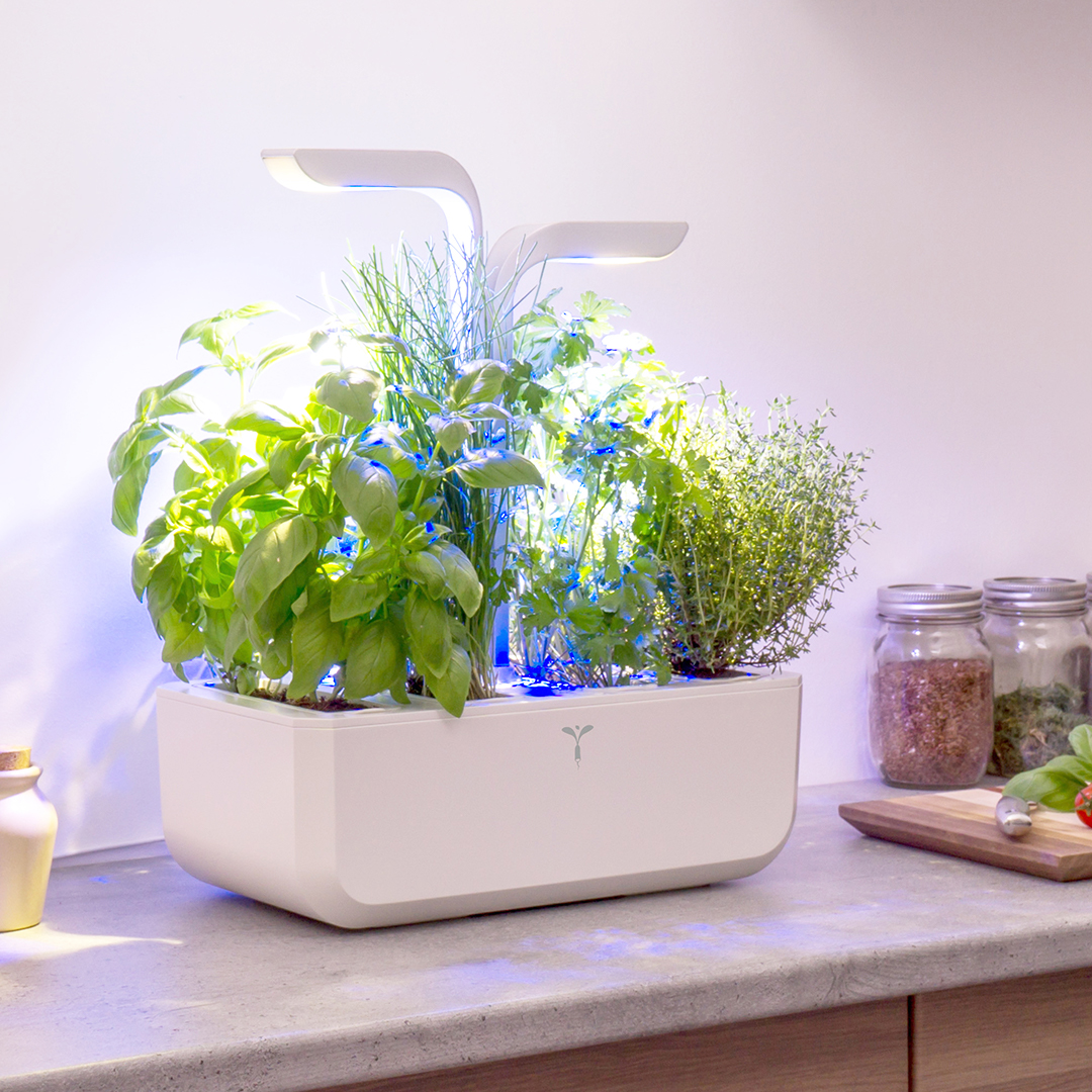 Véritable®, le potager d’intérieur made in France ! • Conso-Mag