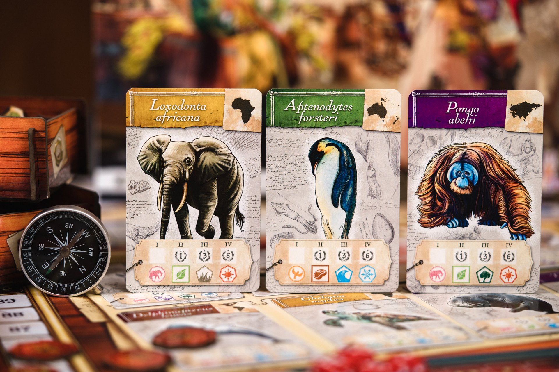 ENCYCLOPEDIA_WEB_006 – Conso-Mag