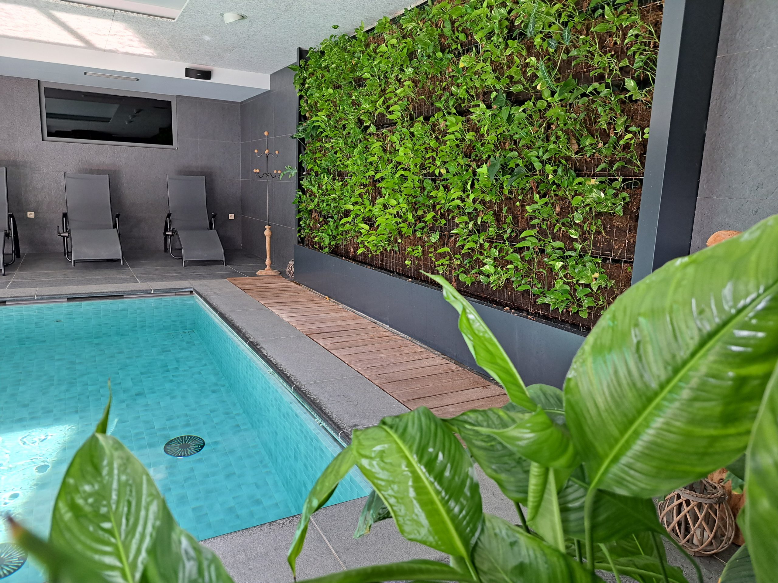 20230623_182634 – Conso-Mag