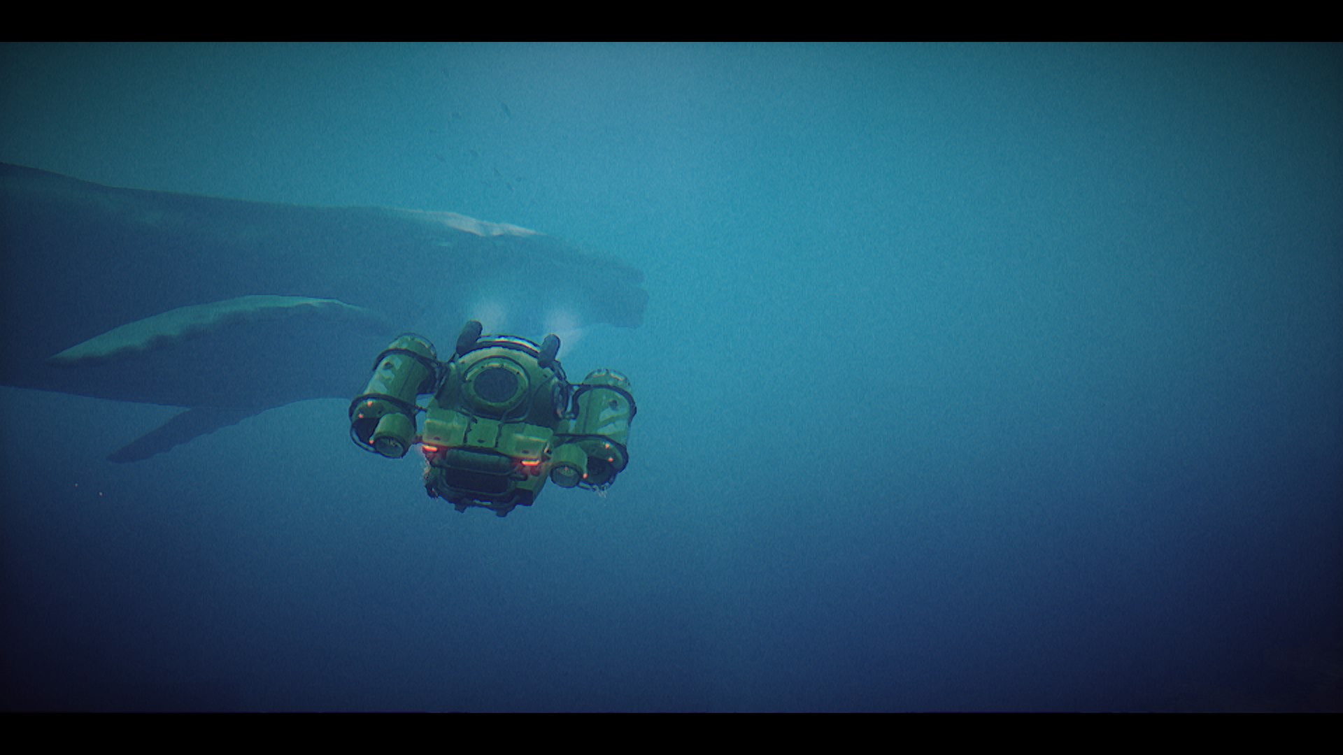 baleine – Conso-Mag